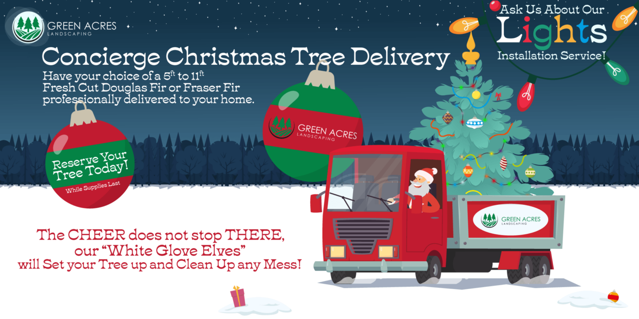 Concierge Christmas Tree Service - Green Acres Lawn & Landscaping